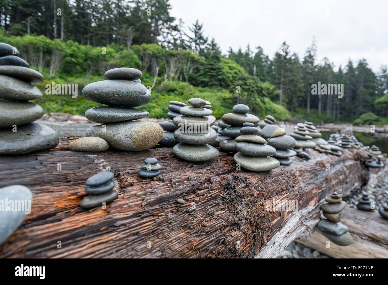 Stacks of Rocks placed on logs at Ruby Beach Olympic Penisula Wash USA ...