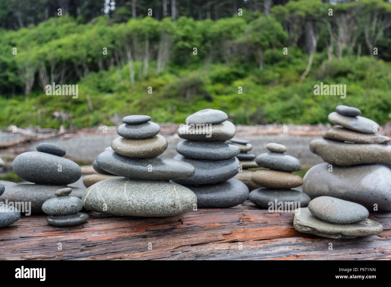 Stacks of Rocks placed on logs at Ruby Beach Olympic Penisula Wash USA ...