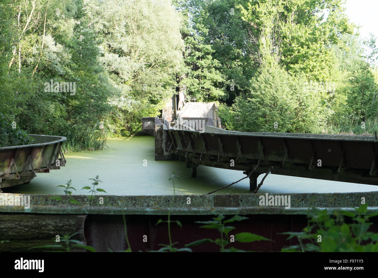 Bridge over the swamp hi-res stock photography and images - Alamy