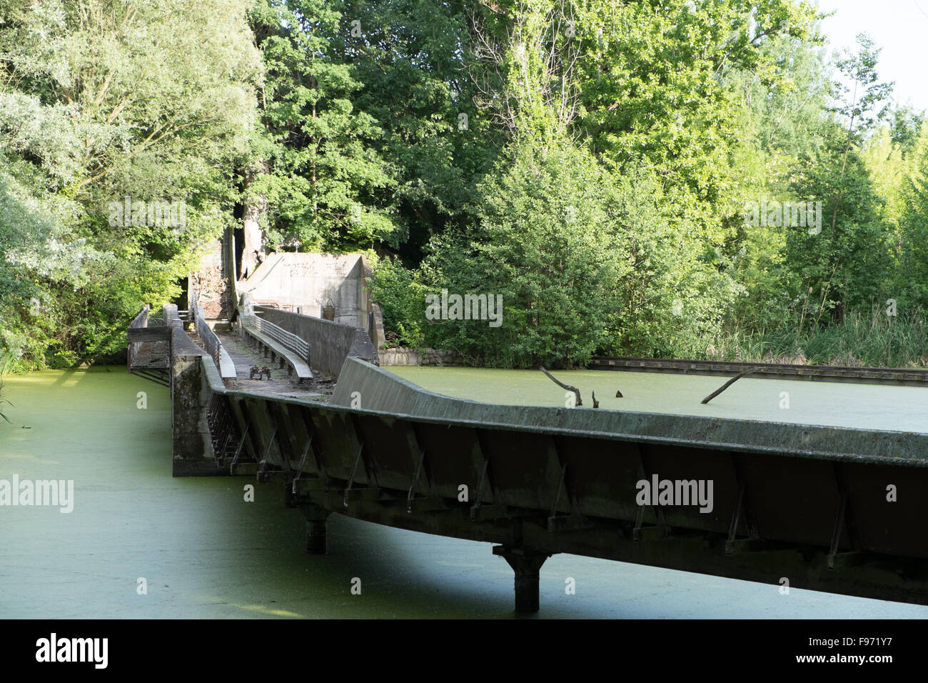 Bridge over the swamp hi-res stock photography and images - Alamy