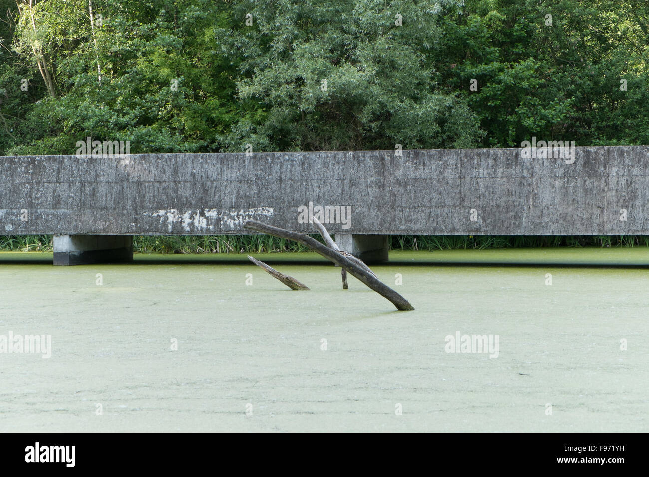 Bridge over swamp hi-res stock photography and images - Alamy