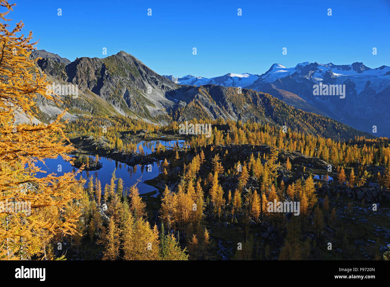 Purcell mountains hi-res stock photography and images - Alamy
