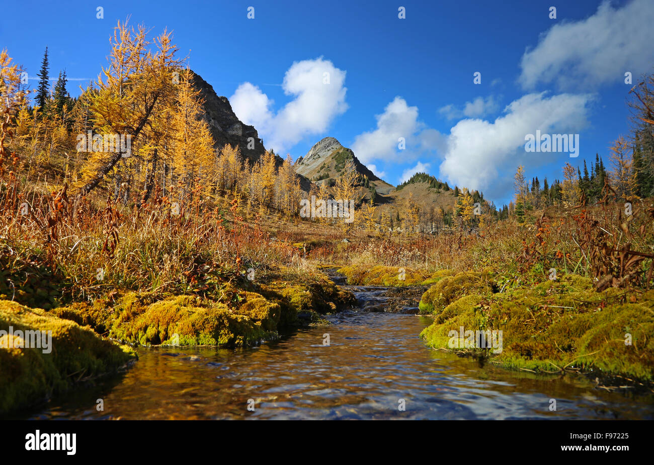 Purcell mountains, canada hi-res stock photography and images - Alamy