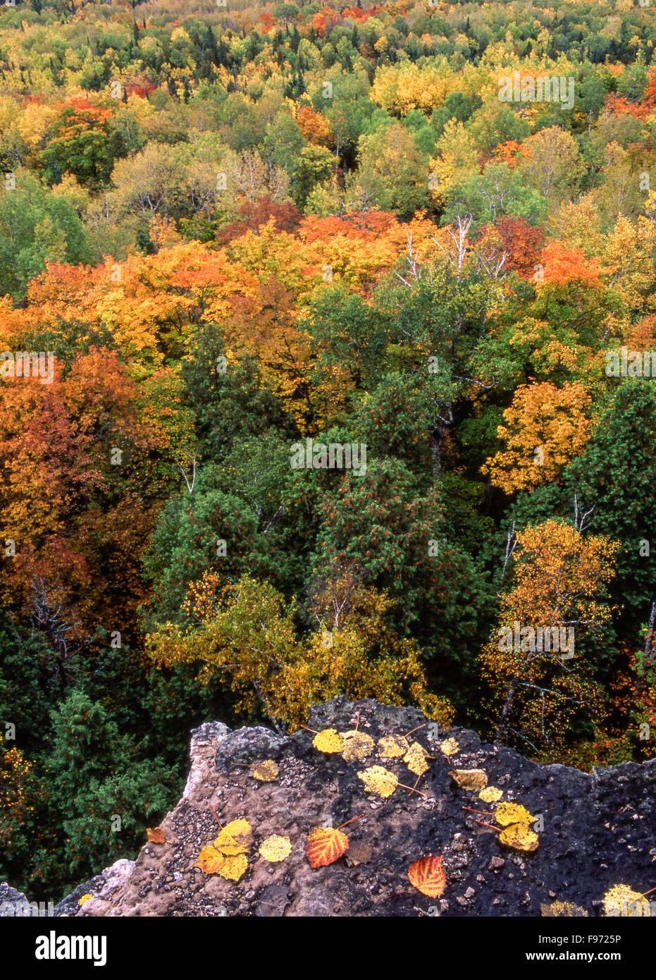 Cup and Saucer Trail, northern extension of Niagara Escarpment ...