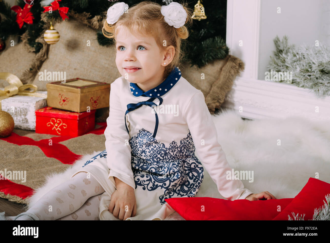 Chestnut head hi-res stock photography and images - Alamy