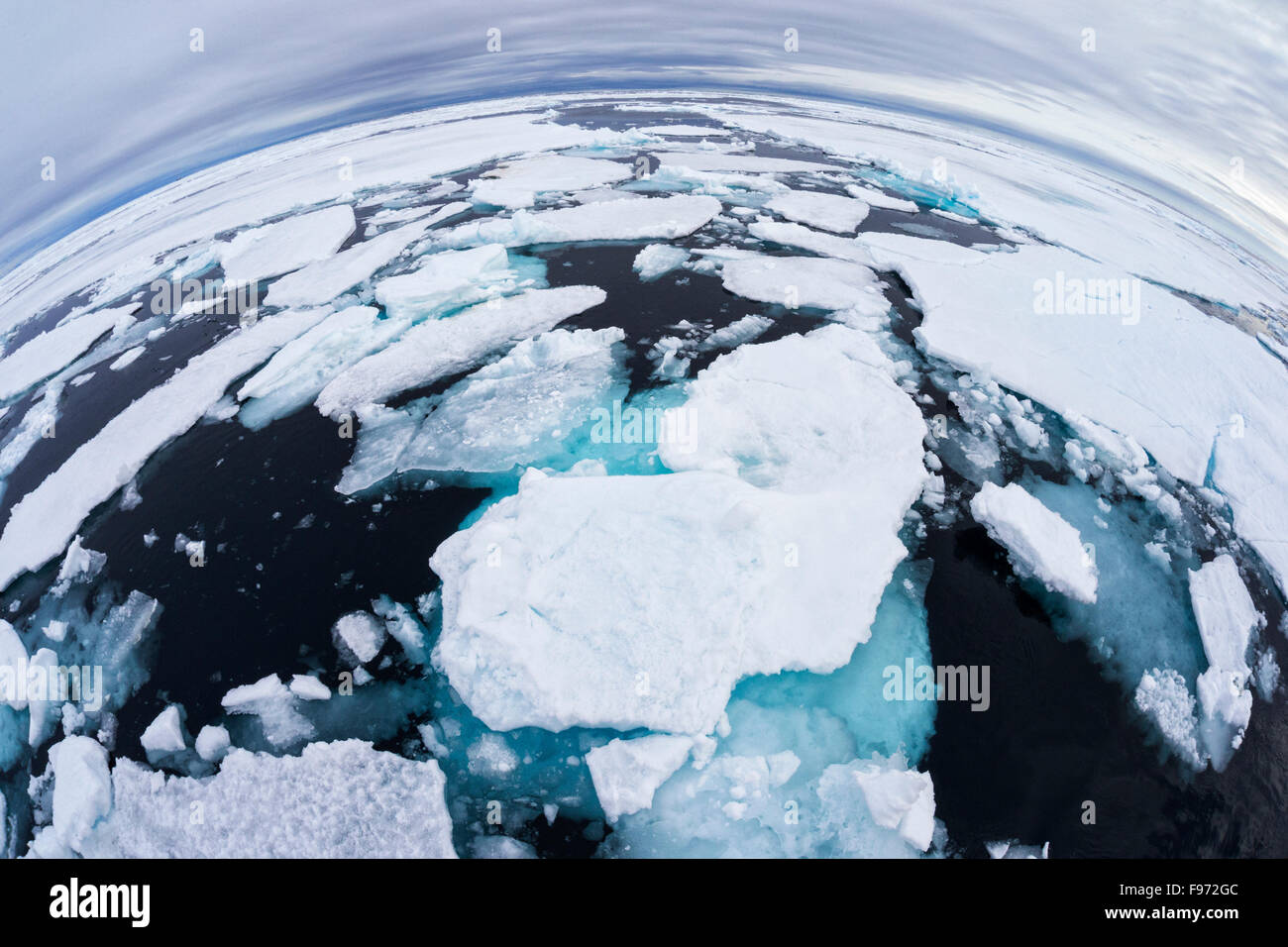 Pack ice, from bow of ship moving through the ice, north of Spitsbergen ...