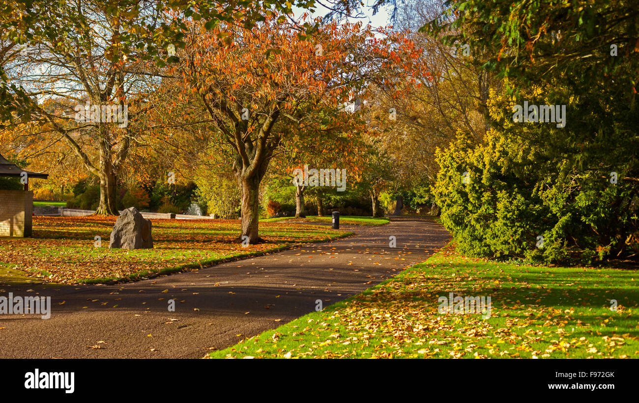 Fitzgerald park cork hi-res stock photography and images - Alamy