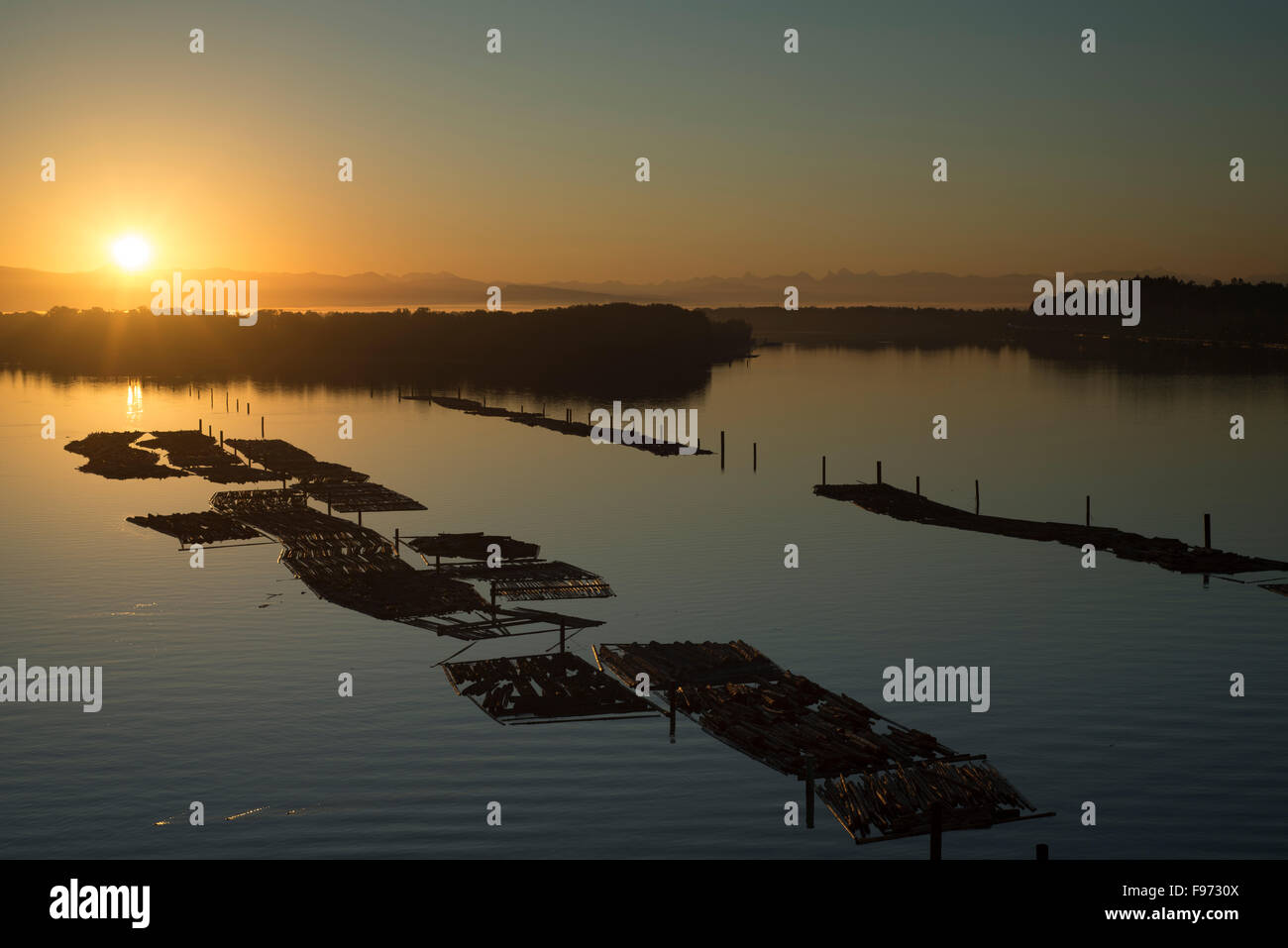 Log in river hi-res stock photography and images - Alamy