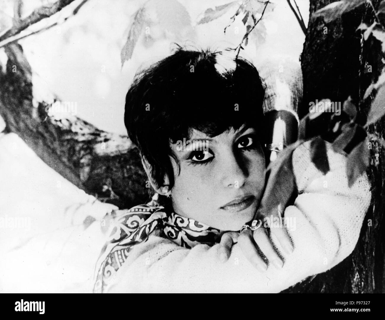 Israelische Sängerin Esther Ofarim, Deutschland 1960er Jahre. Israeli ...