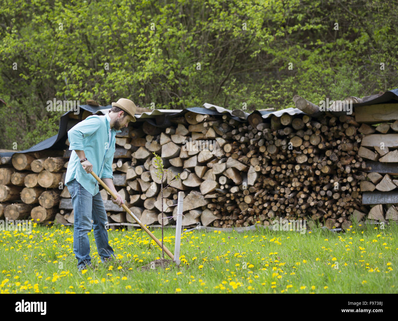 Young handsome man working with hoe in his backyard garden Stock Photo ...