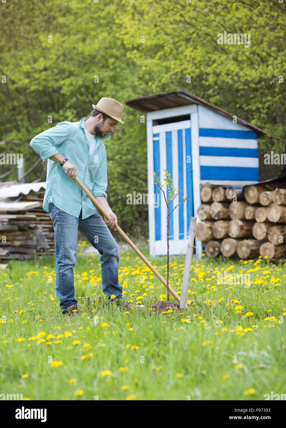 Person gardening in backyard hi-res stock photography and images - Alamy