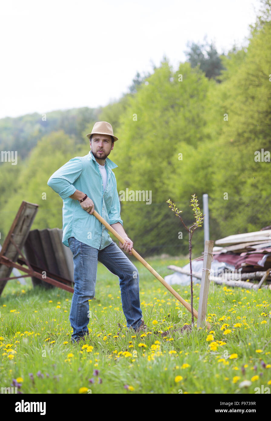 Young handsome man working with hoe in his backyard garden Stock Photo ...