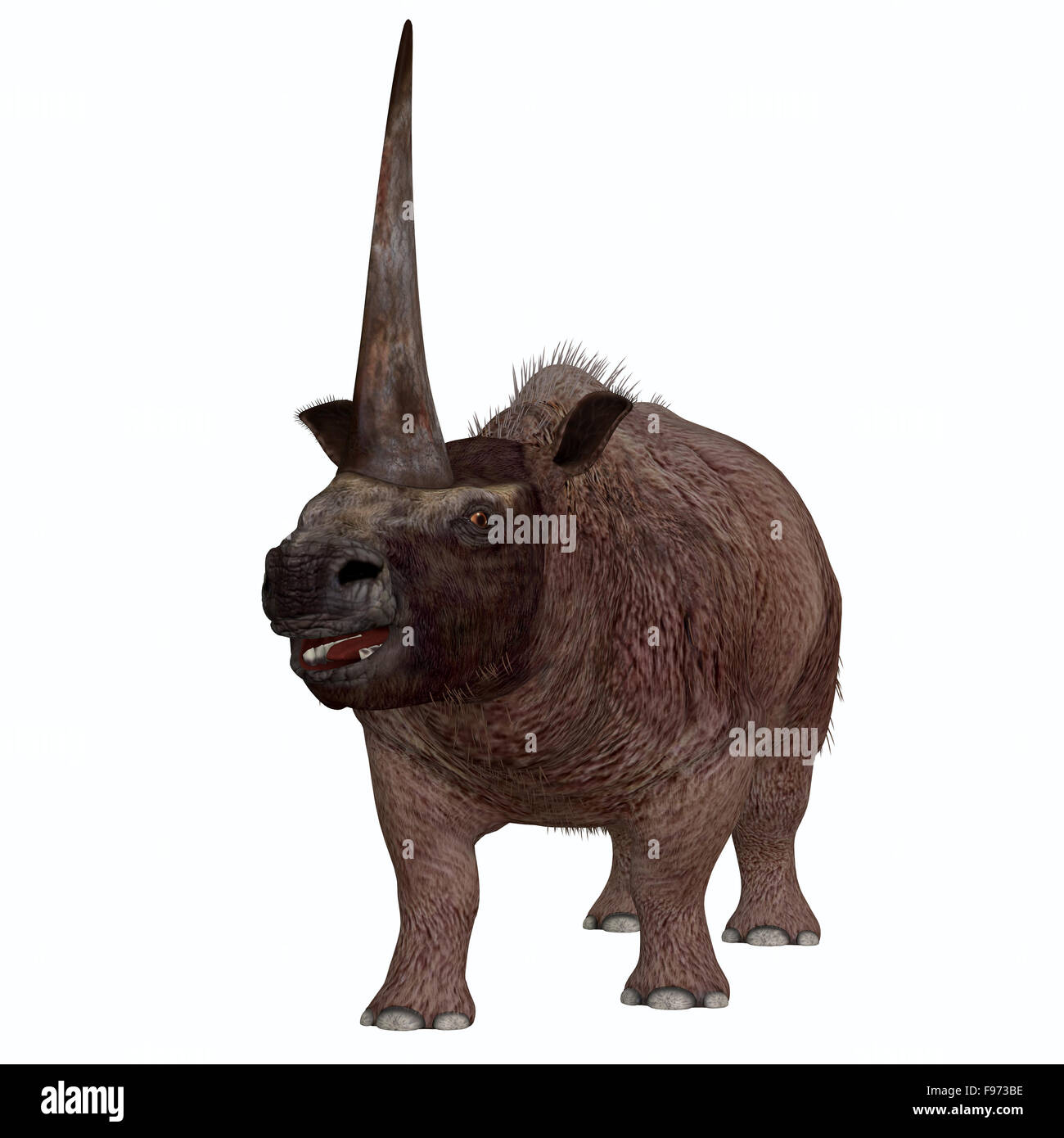 Elasmotherium hi-res stock photography and images - Alamy