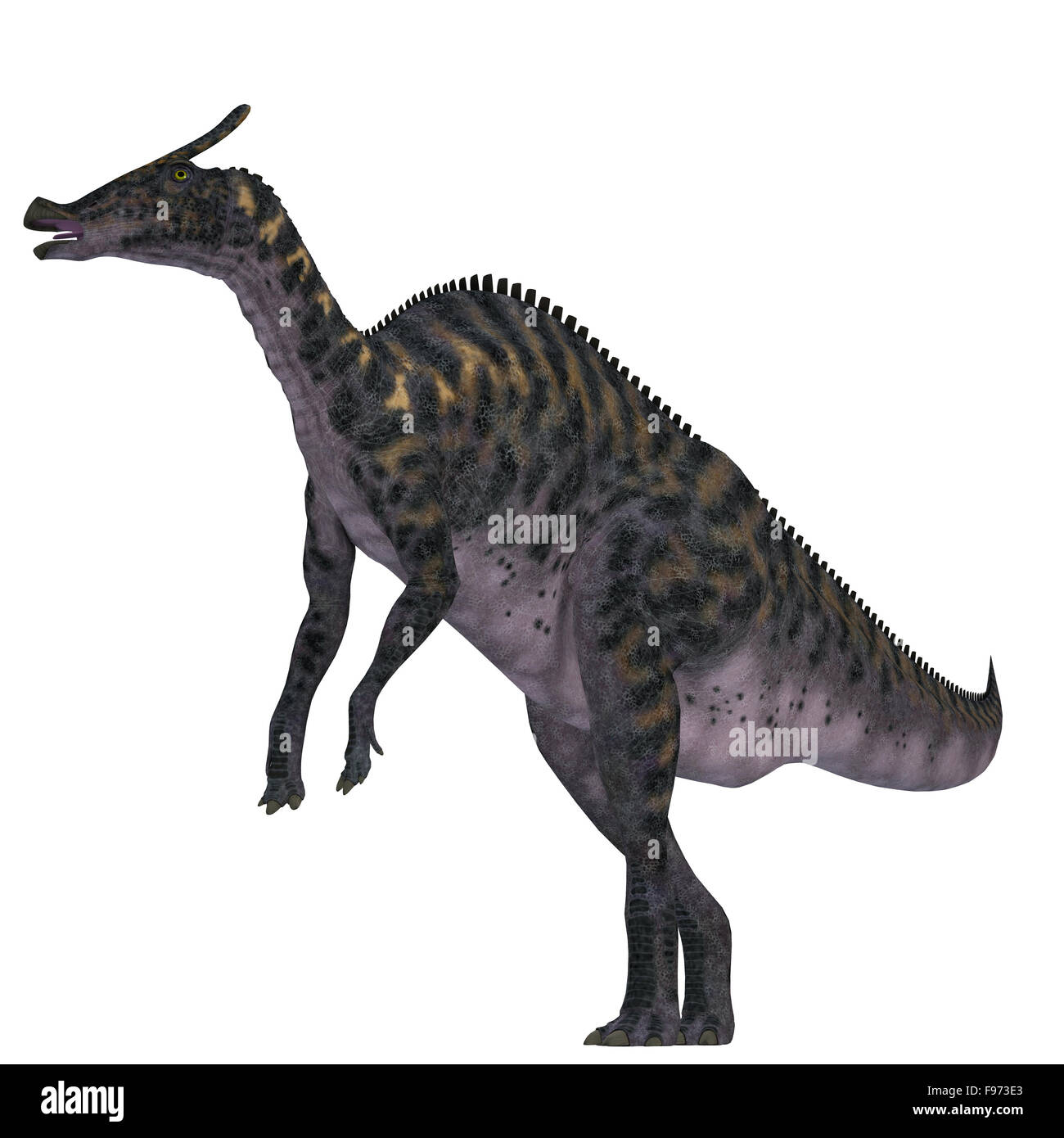 Hadrosaur hi-res stock photography and images - Alamy