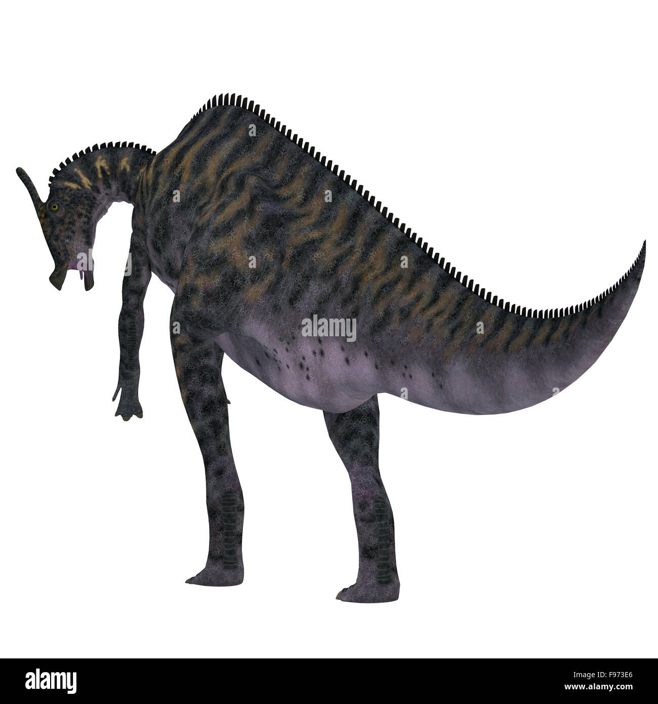 Hadrosaur hi-res stock photography and images - Alamy