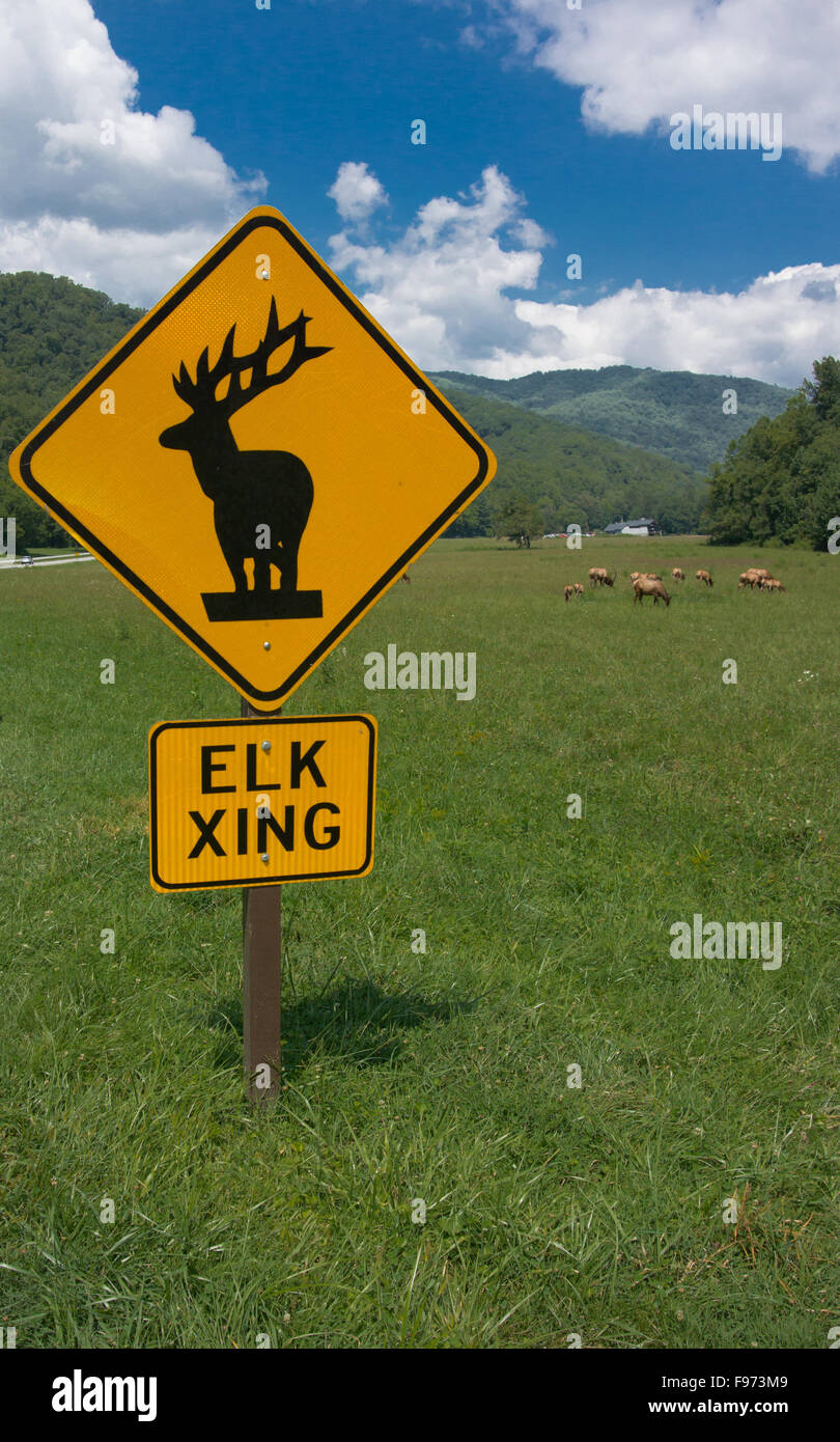 Vertical shot of elk crossing sign with herd in background Stock Photo ...