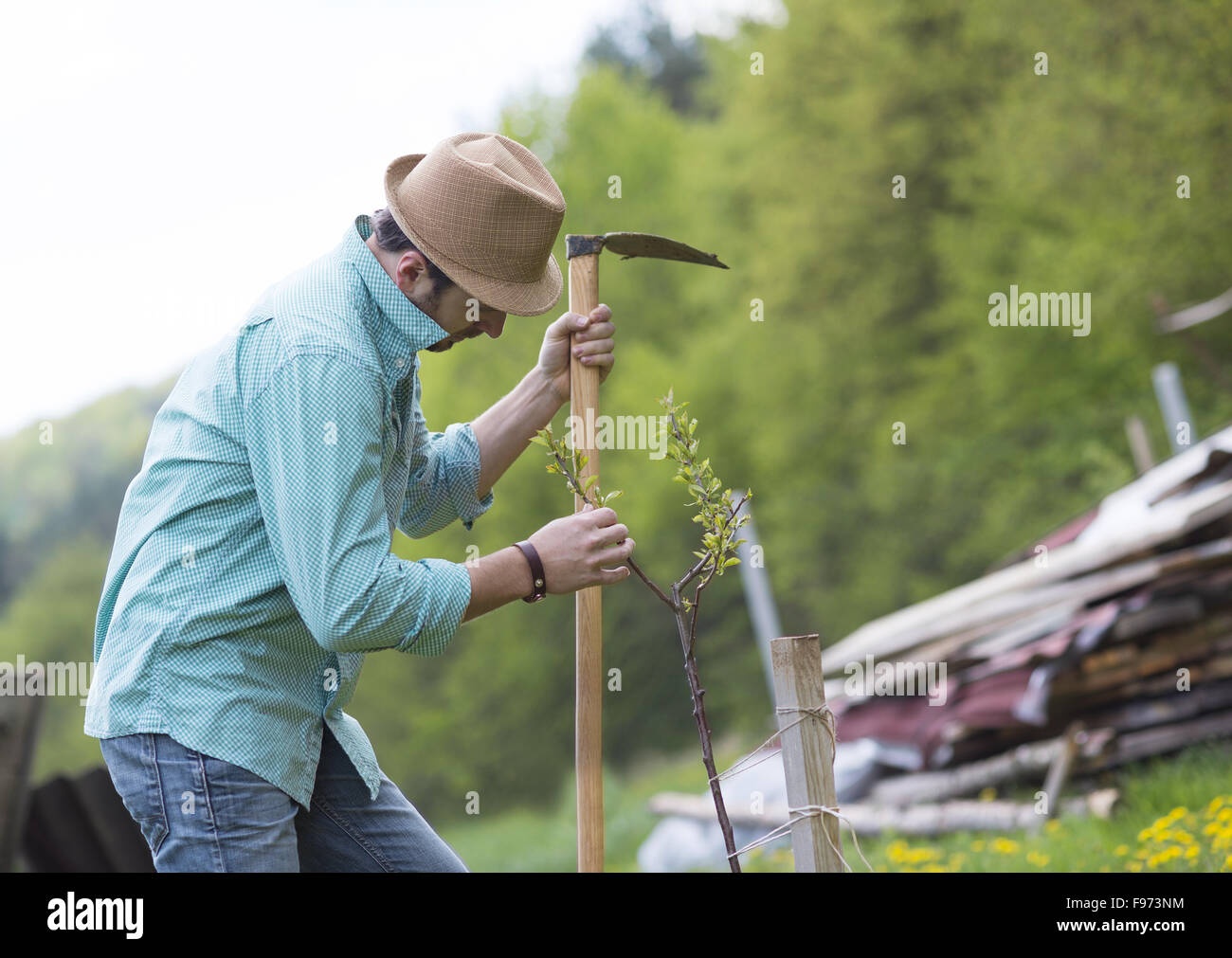 Young handsome man working with hoe in his backyard garden Stock Photo ...