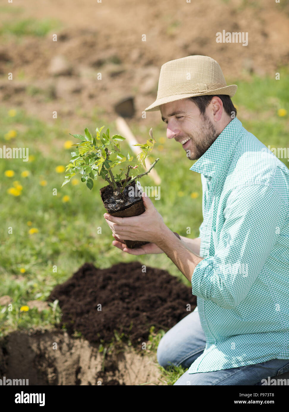 Young handsome man planting a small tree in his backyard garden Stock ...