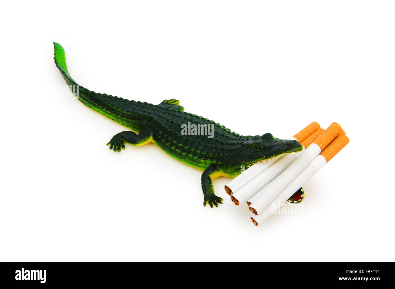 Crocodile with cigarettes isolated on white Stock Photo - Alamy