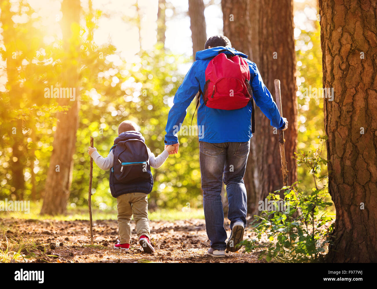 Father And Son Walking During The Hiking Activities In Autumn Forest At