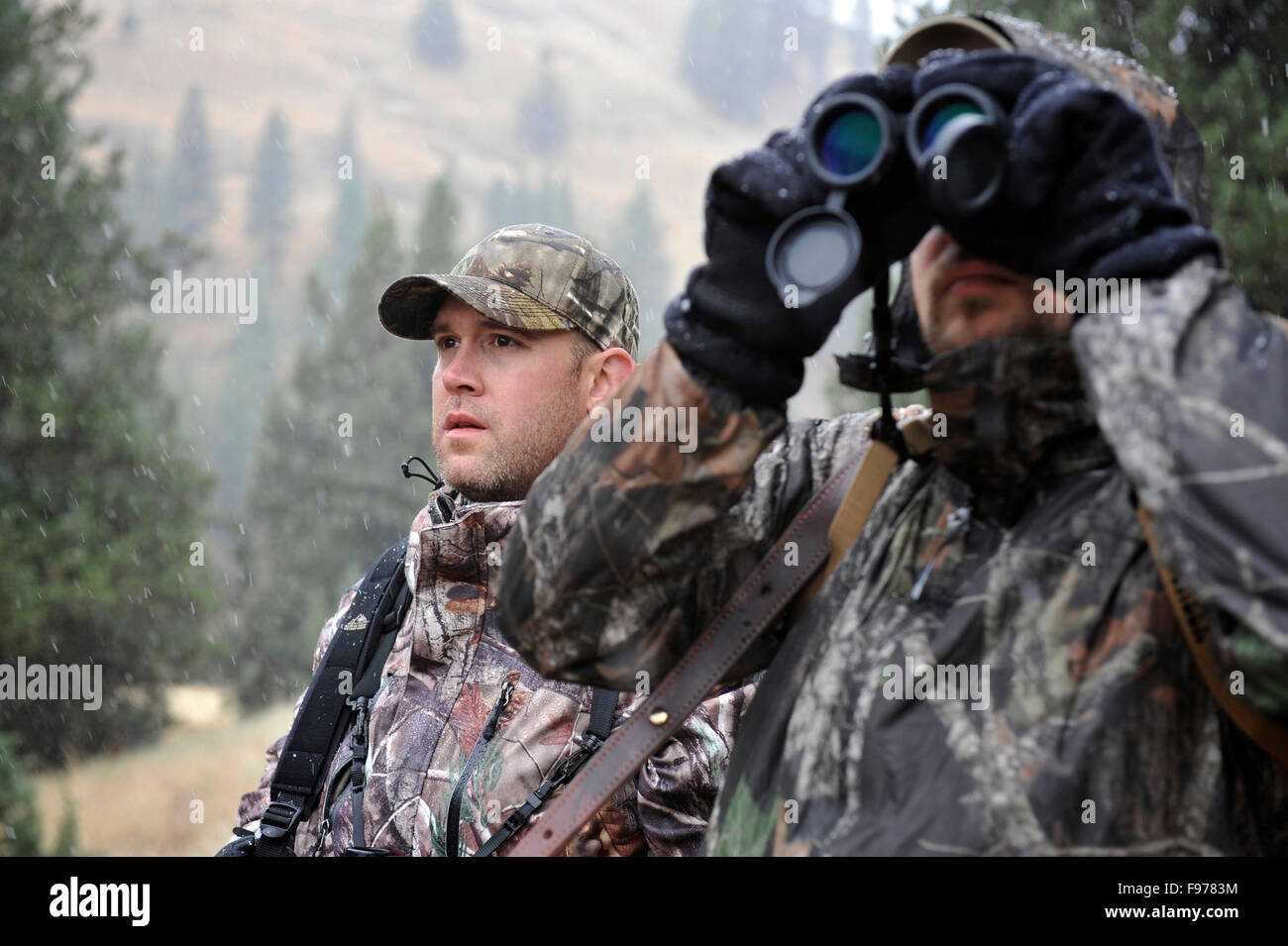 Hunting in Oregon Stock Photo - Alamy