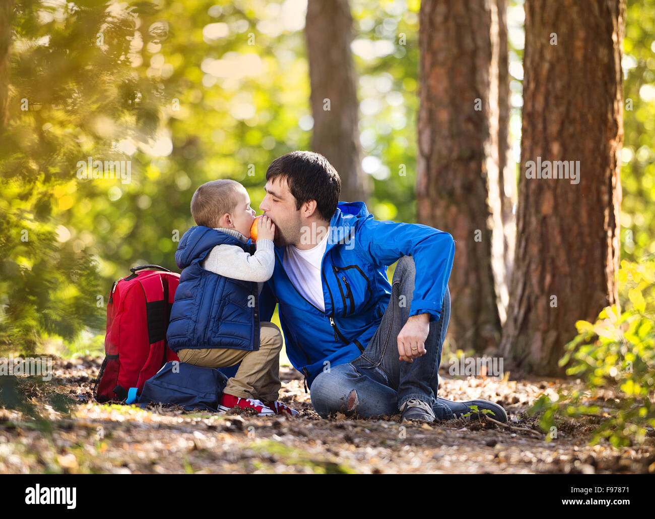 Father and son enjoying a walk in the forest Stock Photo - Alamy