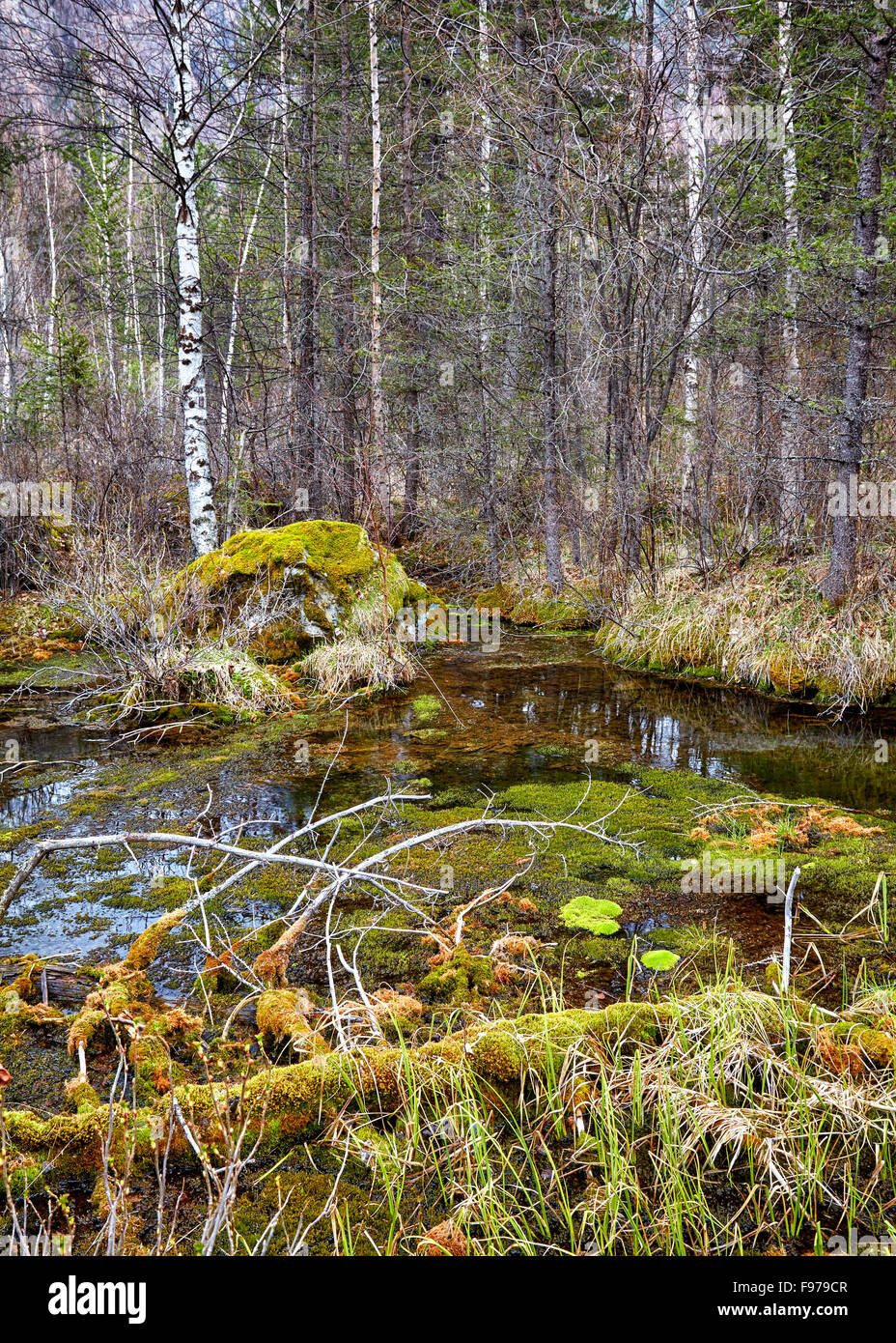 Altay hi-res stock photography and images - Alamy