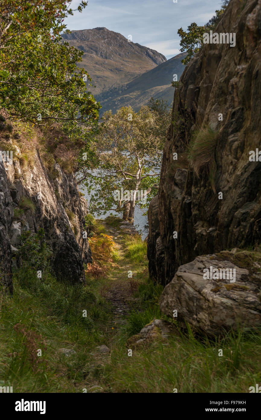 A narrow cutting on the Herring Path along Loch Hourn Stock Photo - Alamy