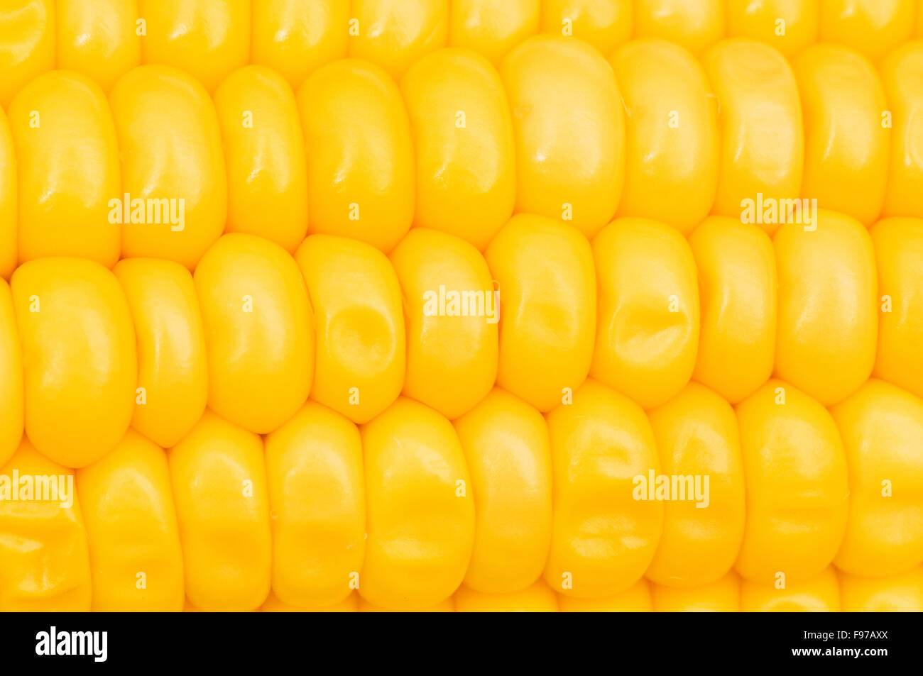 Extreme close up of yellow corn cobs Stock Photo - Alamy