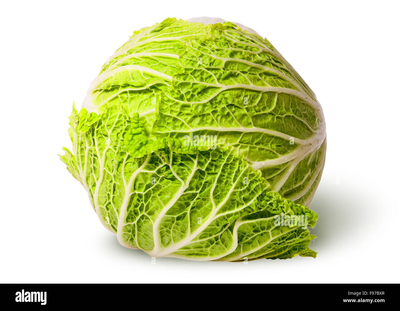 Chinese cabbage top view isolated on white background Stock Photo - Alamy