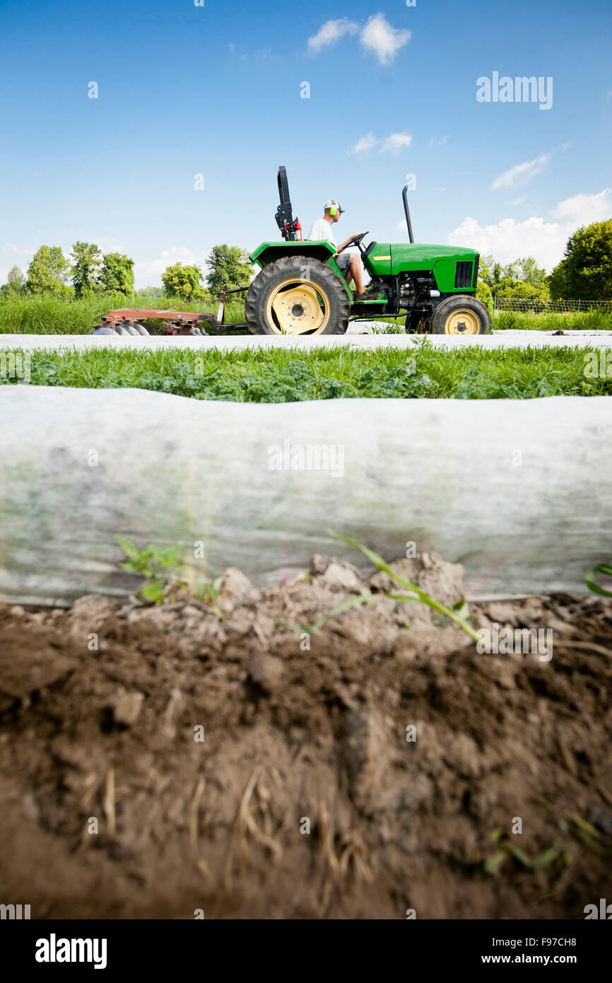 Man driving tractor in field Stock Photo - Alamy