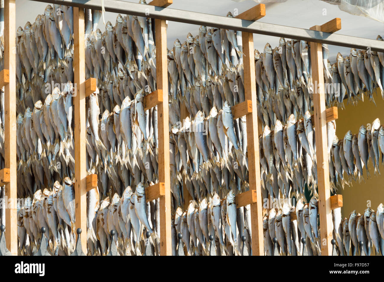 Dried fish detail Stock Photo - Alamy