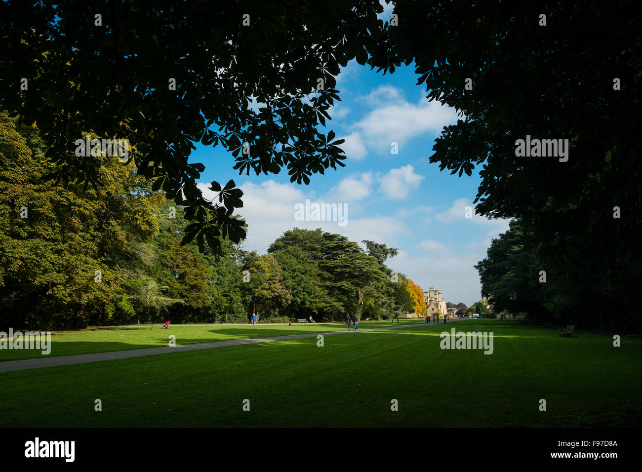 Cirencester park hi-res stock photography and images - Alamy