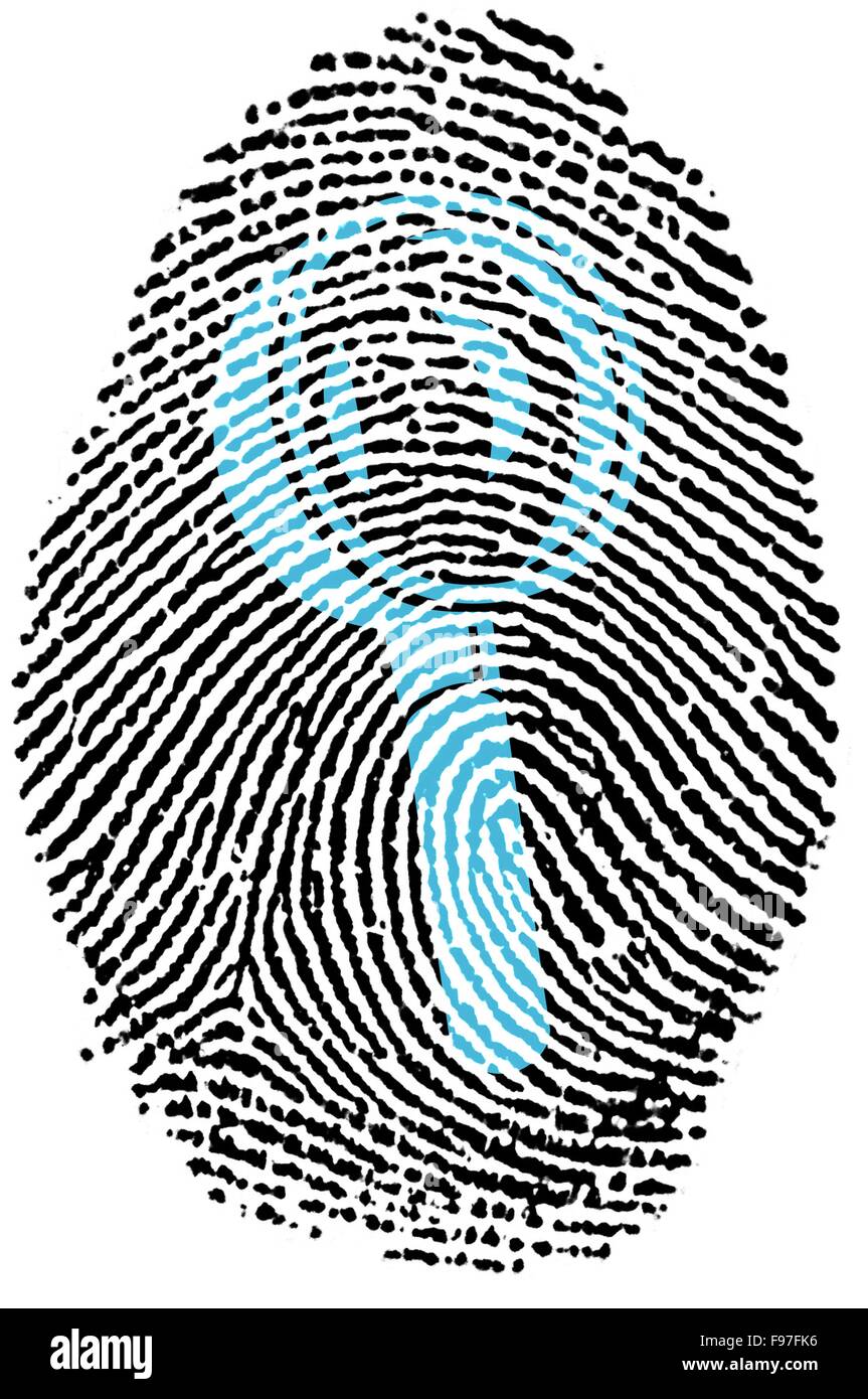Fingerprint - Search Stock Photo - Alamy
