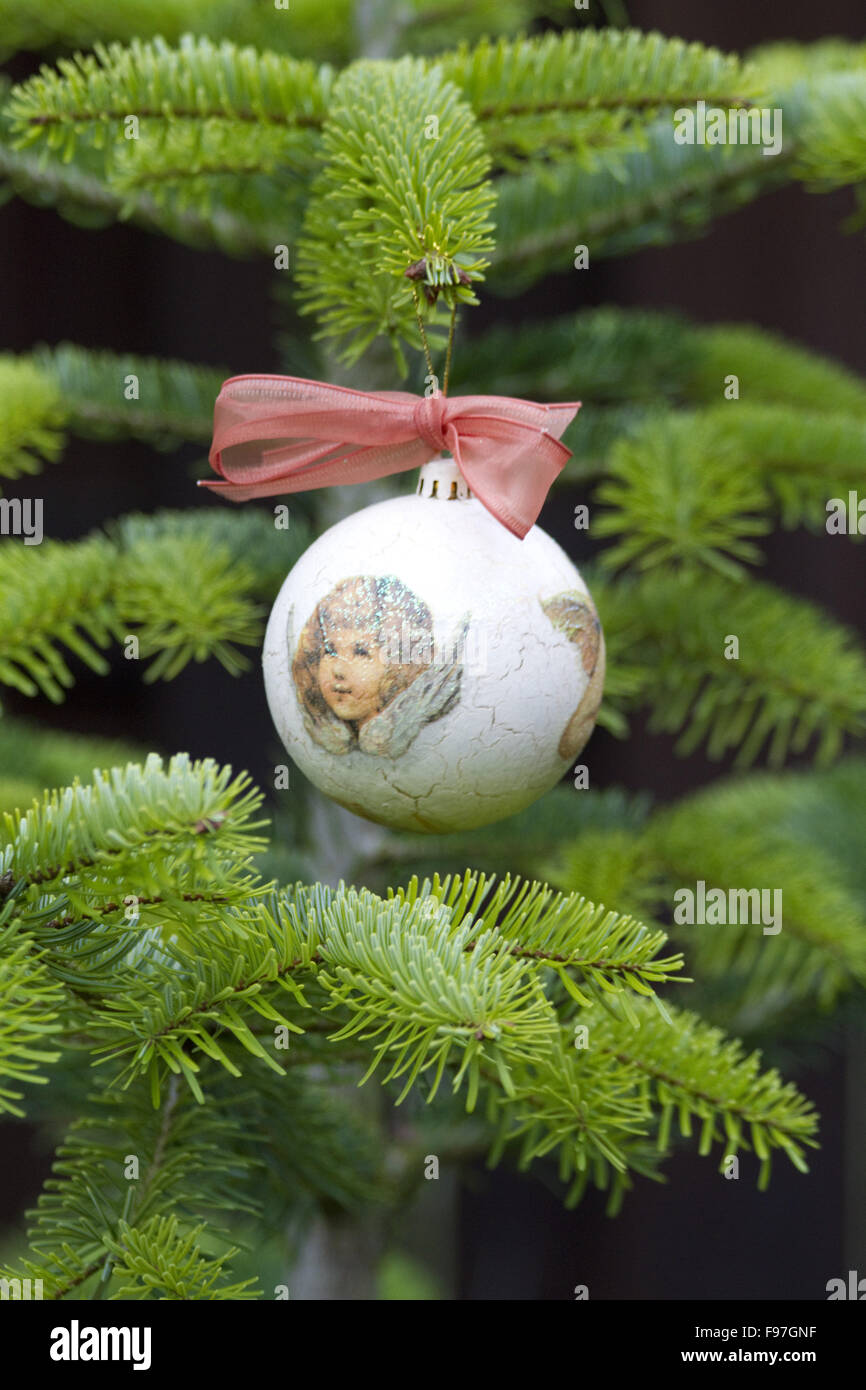 Christmas bouble on christmas tree branch, lights hanging in a tree ...