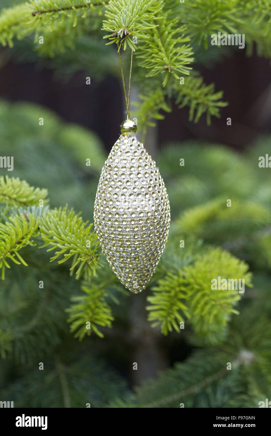 Christmas bouble on christmas tree branch, lights hanging in a tree ...