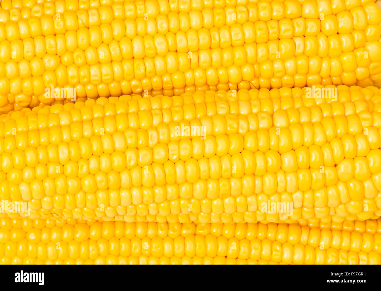 Extreme close up of yellow corn cobs Stock Photo - Alamy