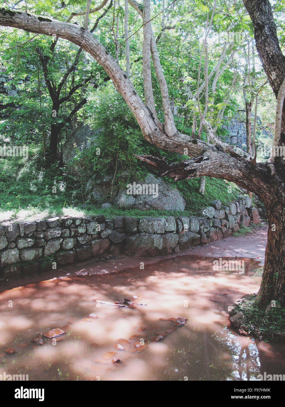 Large Puddle High Resolution Stock Photography and Images - Alamy