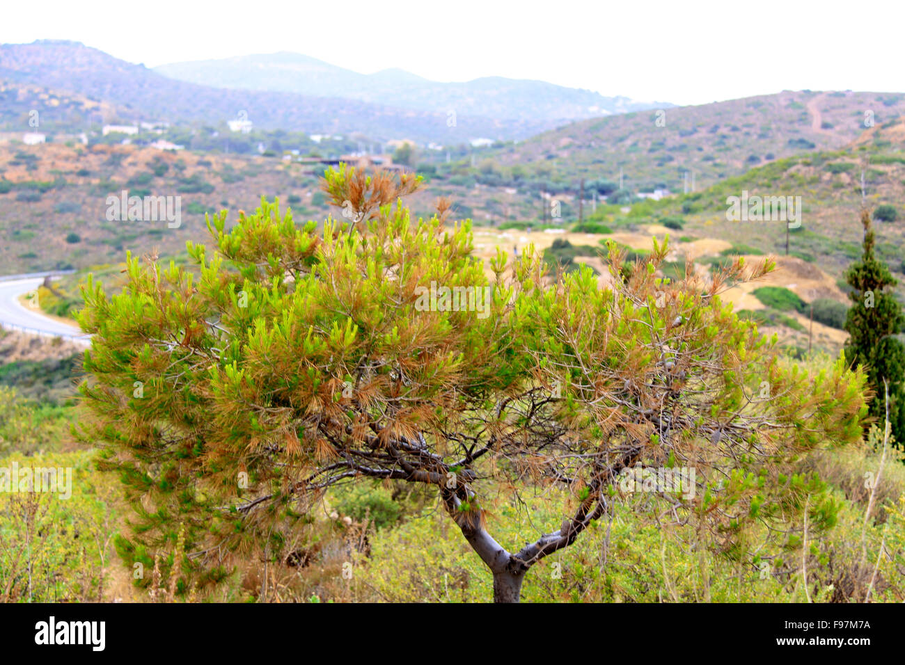 beautiful Greek landscape Stock Photo - Alamy