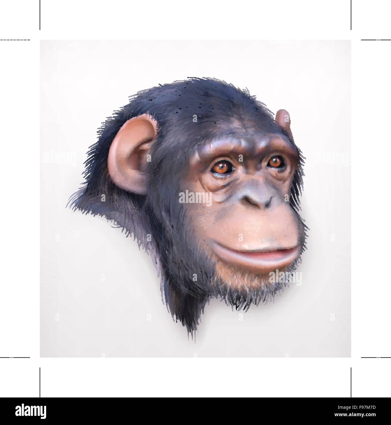 Realistic Monkey Head Drawings