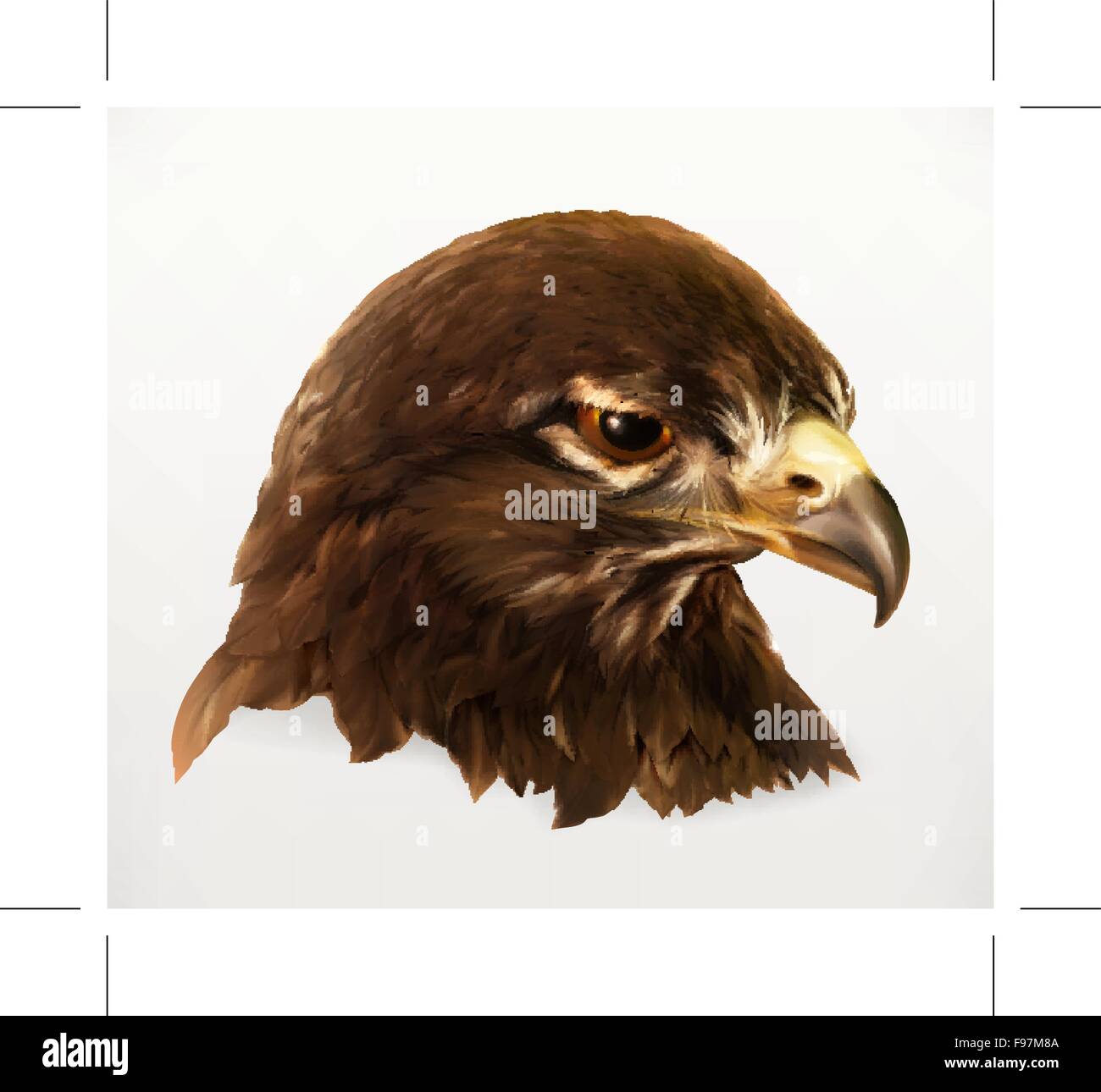 Eagle head, realistic vector illustration Stock Vector Image & Art - Alamy