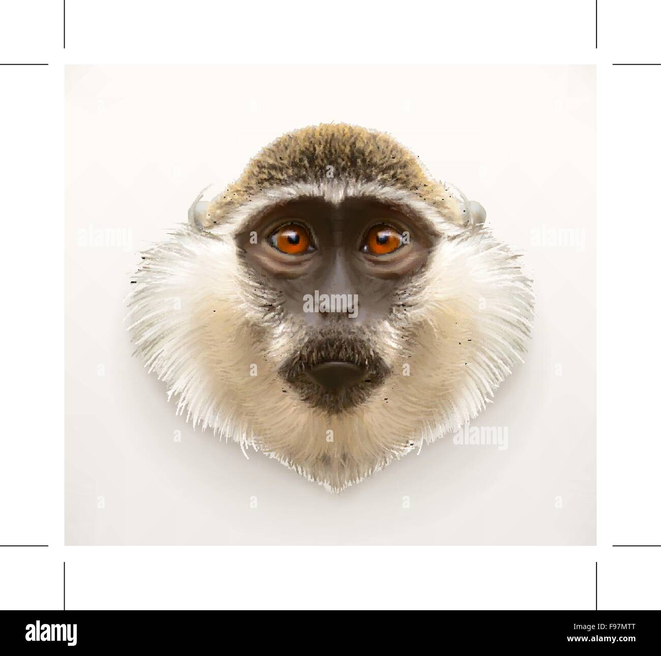 Monkey head, realistic vector illustration Stock Vector Image & Art - Alamy