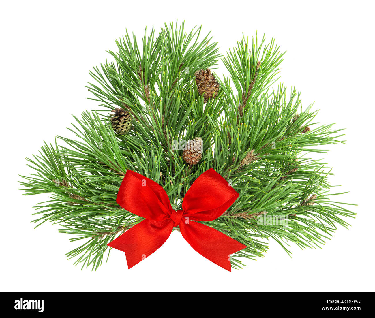 Pine tree branches with cones and red ribbon bow decoration isolated on ...