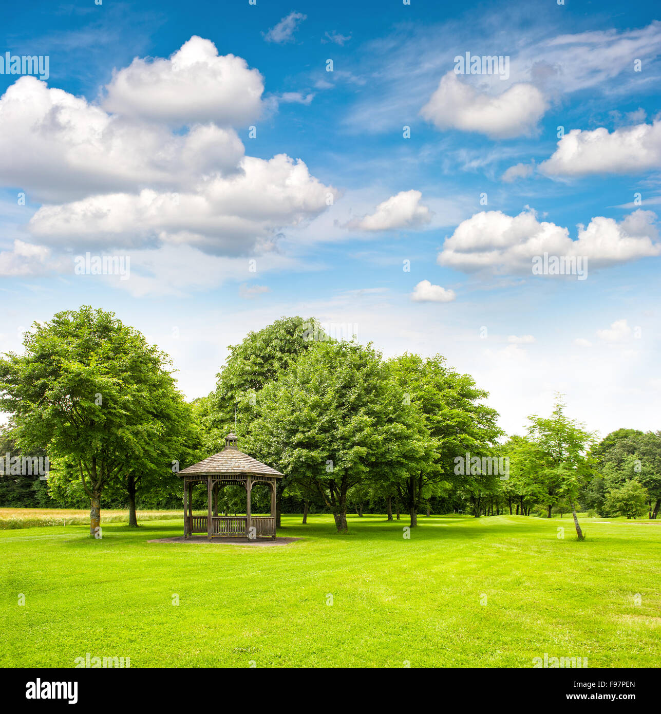 Park trees and green grass over blue sky. Formal garden. Golf field ...