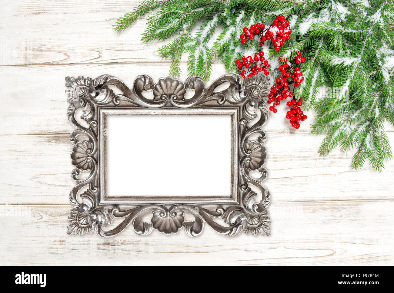 Christmas tree branches with red berries and snow. Vintage picture ...