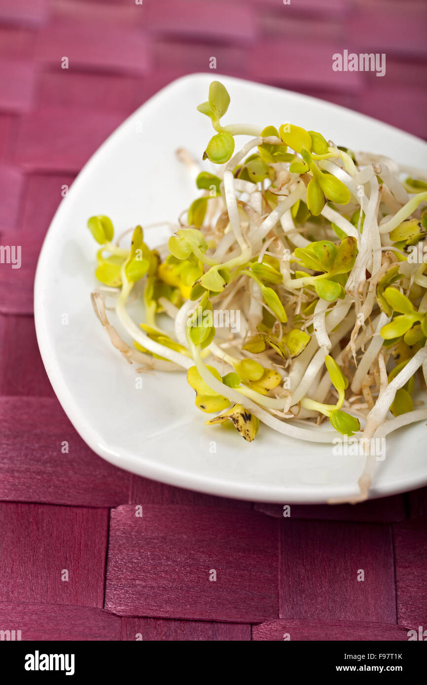 salad sprouts on a white plate Stock Photo - Alamy