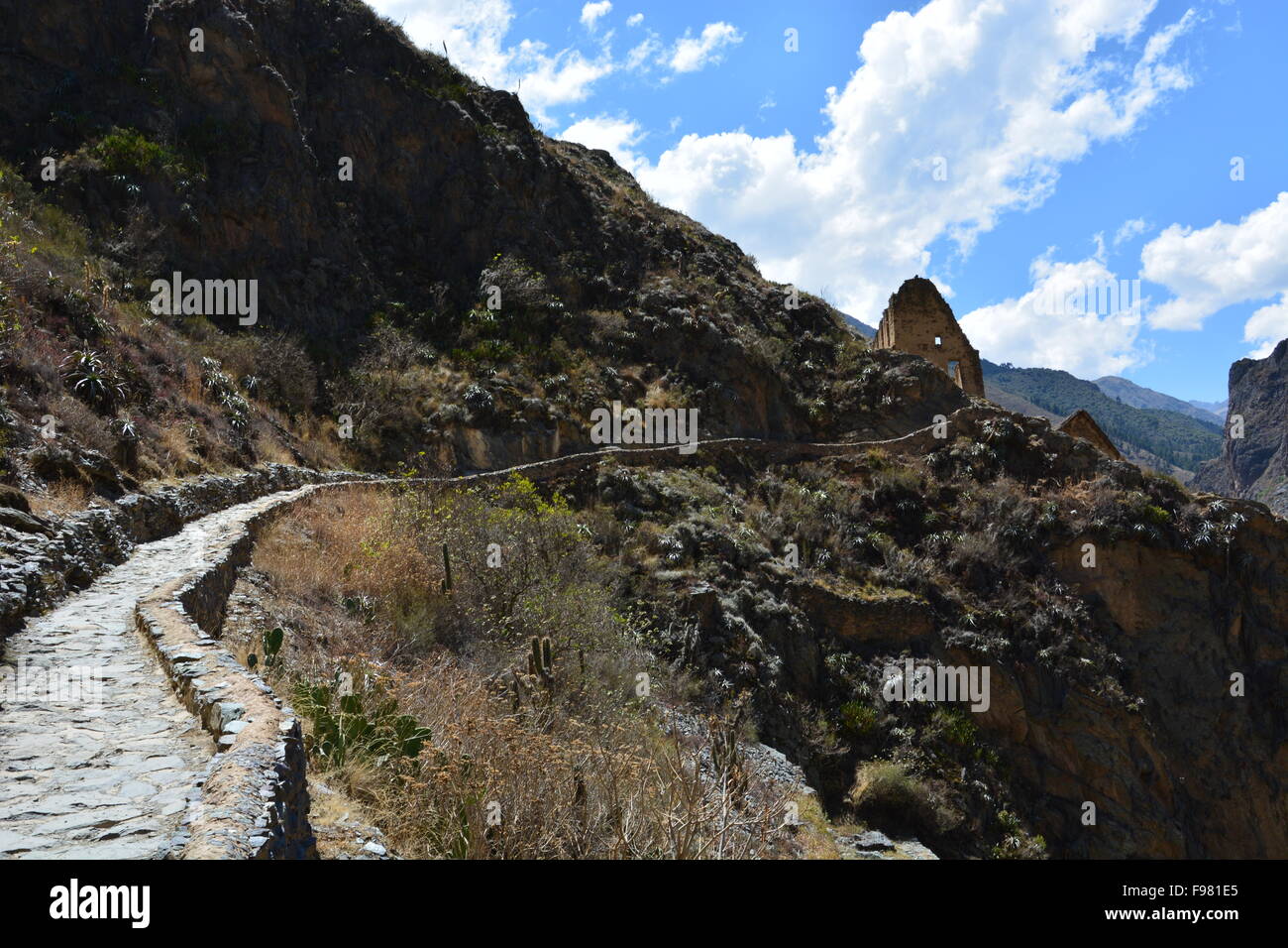 The hillside path to a storage building at the Inca ruins of ...