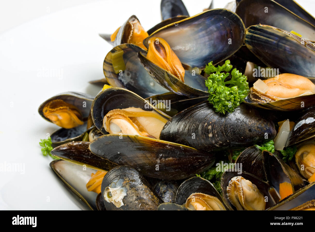 cooked open blue mussels on white background Stock Photo - Alamy