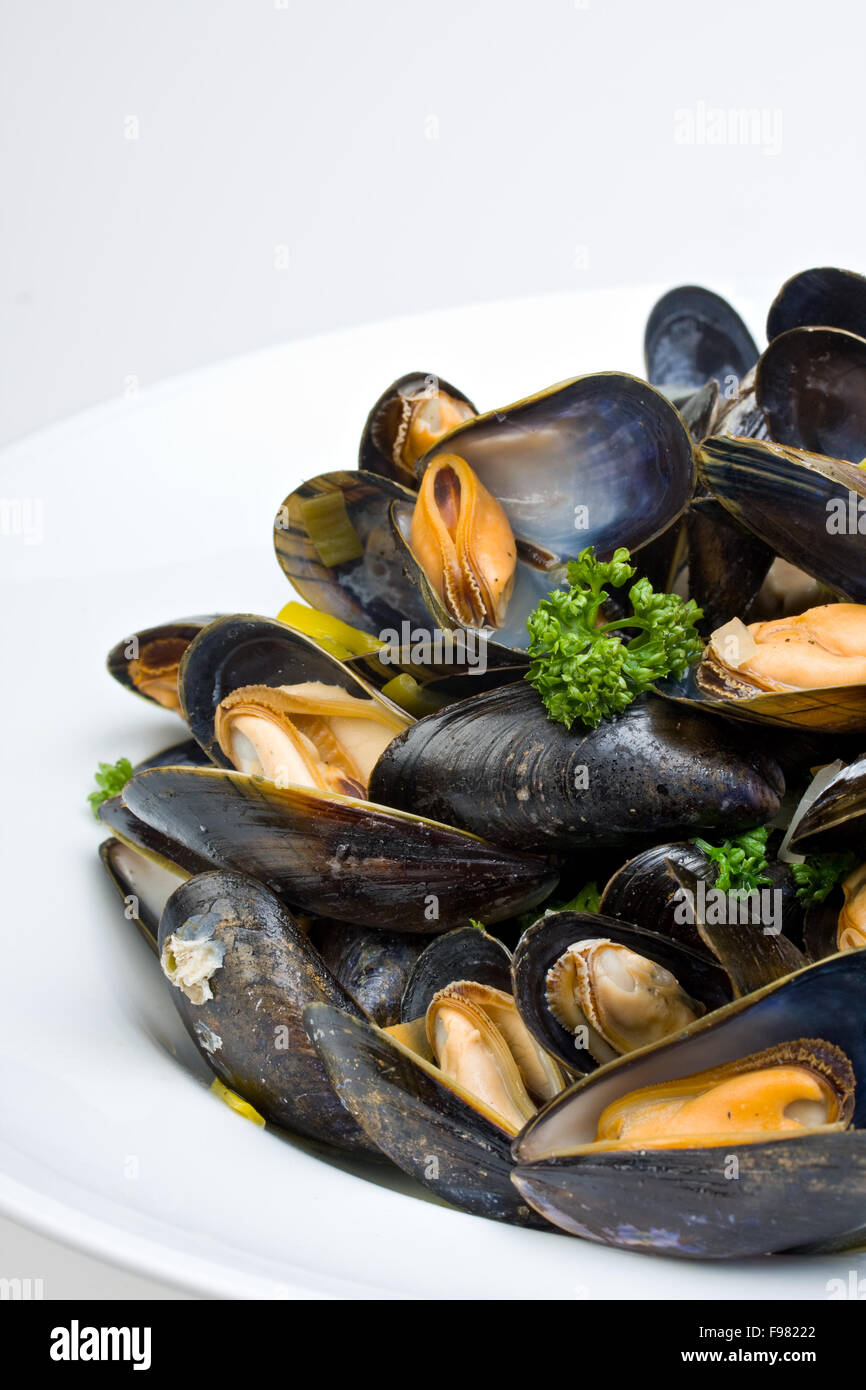 cooked open blue mussels on white background Stock Photo - Alamy