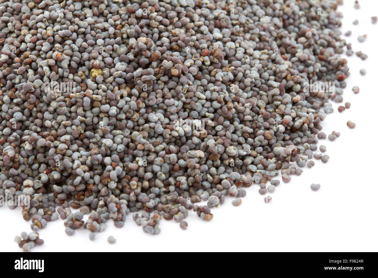 Macro photo of poppy seeds isolated on white Stock Photo - Alamy